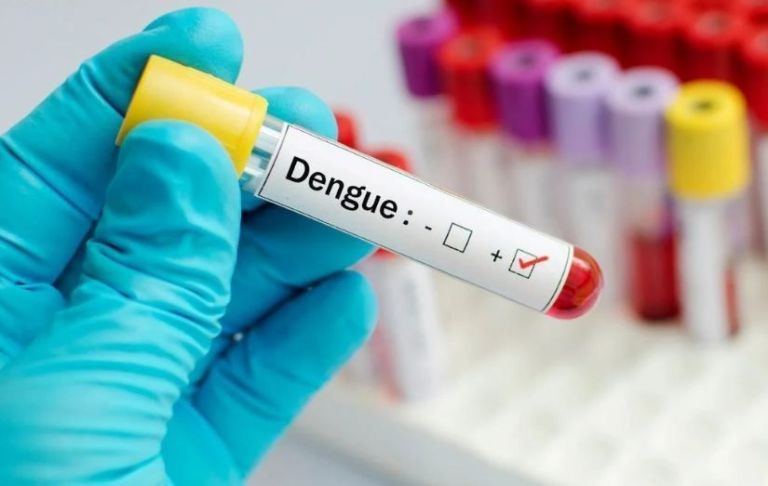 Dos personas con síntomas de dengue, en Neuquén | Diariamente Neuquén ...